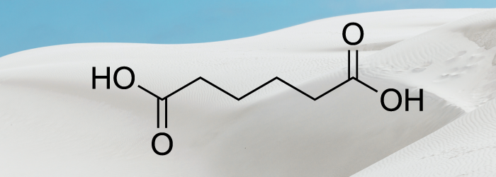 Adipic Acid Production Project Protocol Public Scoping Meeting ...