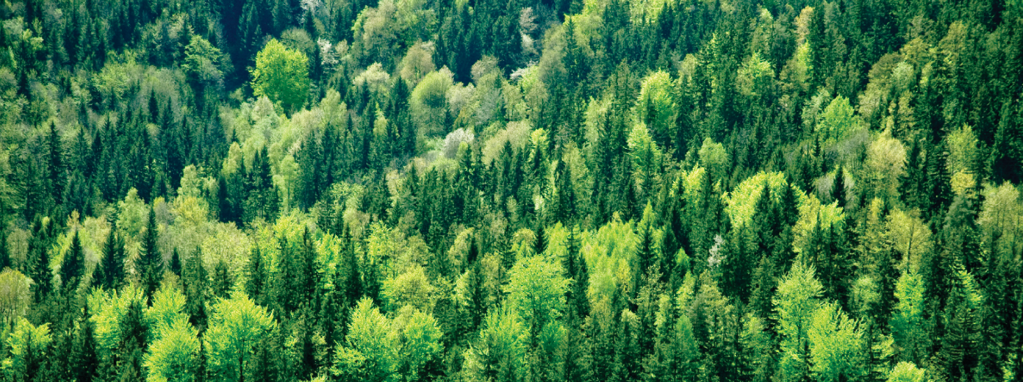 Climate Action Reserve | Climate Action Reserve