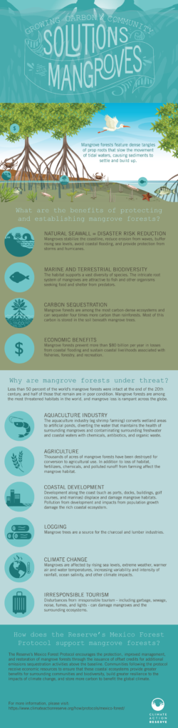 Infographic - Growing Carbon & Community Solutions with Mangroves ...