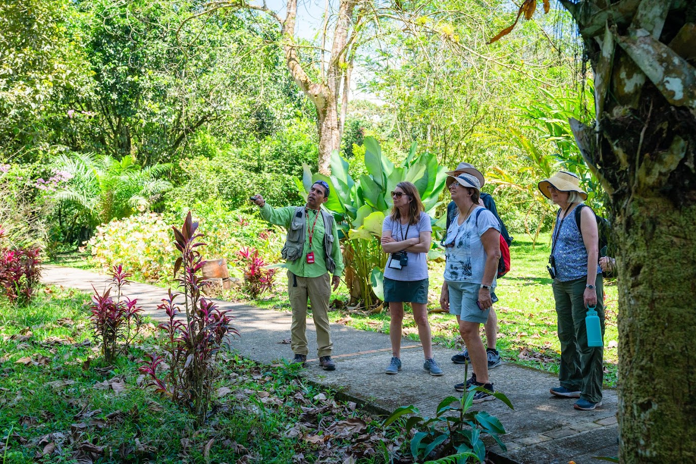 Climate Action Offsetter: Road Scholar | Climate Action Reserve