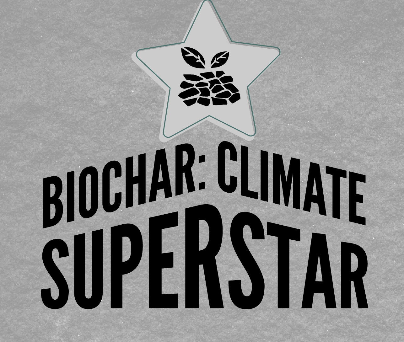 Check out our latest infographic highlighting biochar: the climate ...